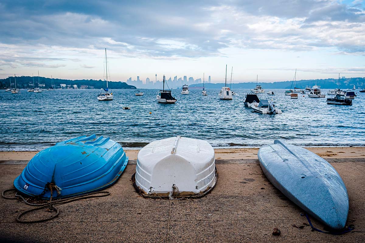 Biomune Appoints New Board Members — Biomune